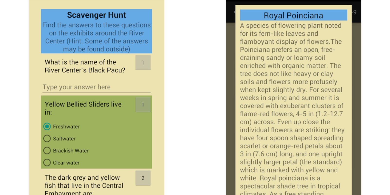 Elli Howard - River Center